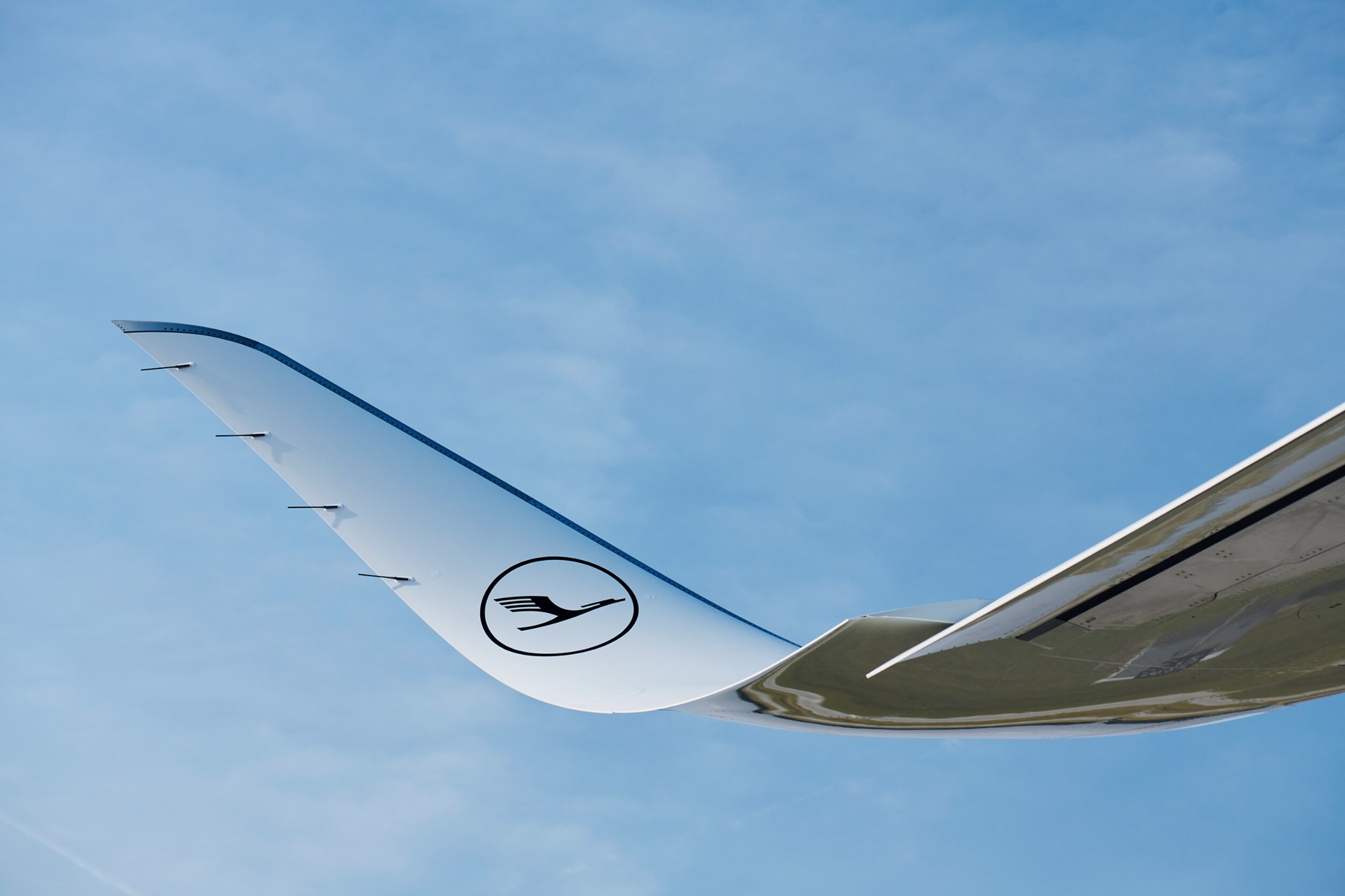 Lufthansa: fatturato record e OK per Ita nel 2024, ma certi voli...